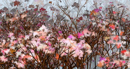 "bloom v7.5" by René Twigge. Buy pictures & photo art online | LUMAS