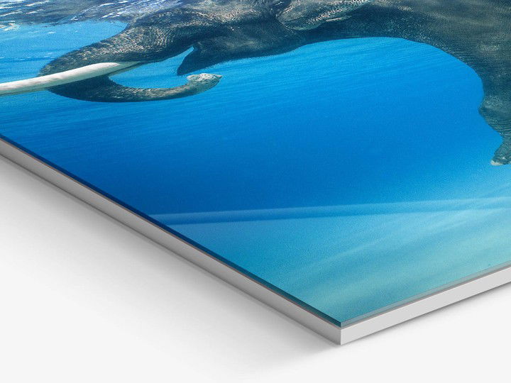 Rajan IV von Jody Macdonald | LUMAS