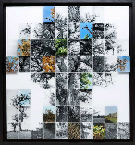 Research on Grids Photography